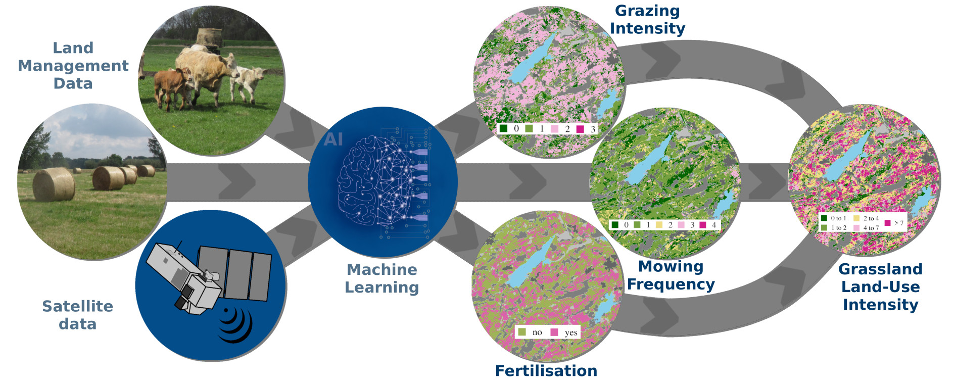 Mapping Land-Use Intensity of Grasslands in Germany with Machine Learning and Sentinel-2 Time ...